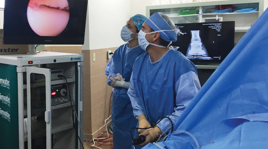 Rood & Riddle Equine Hospital Expands Surgical And Diagnostic Offerings ...