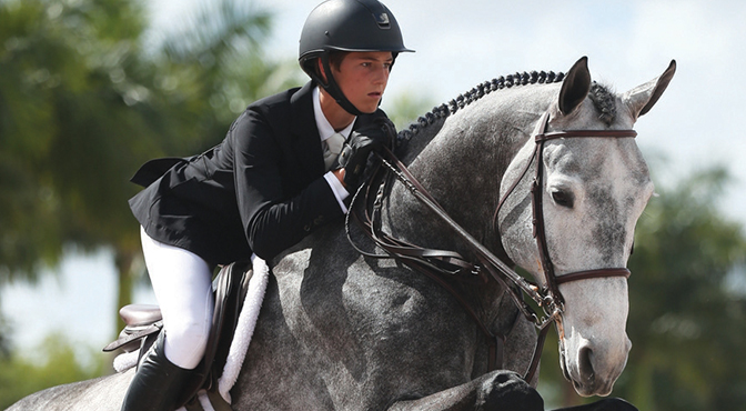 Faces of WEF – Dominic Gibbs | Wellington The Magazine BLOG