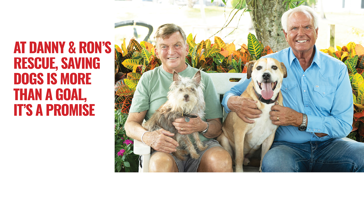 At Danny & Ron’s Rescue, Saving Dogs Is More Than A Goal, It’s A ...